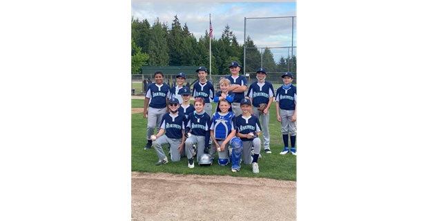 Home [www.southwhidbeylittleleague.com]